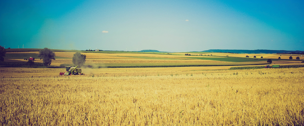 Mound Prairie Mutual Insurance Company